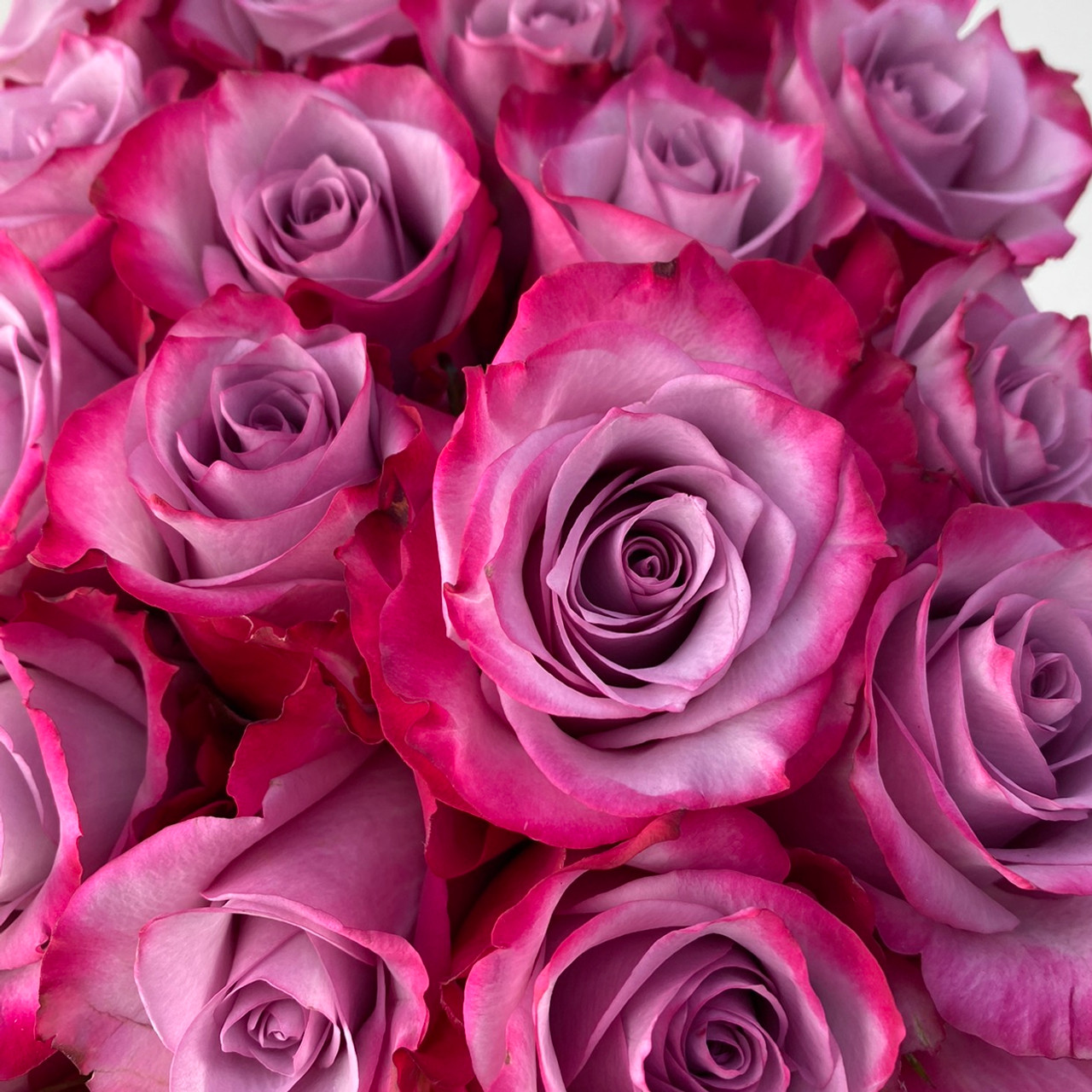 Wholesale Flower Products – Premier Flowers